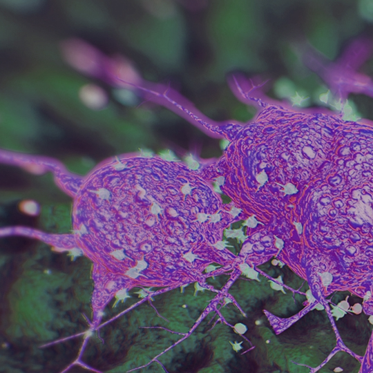 Unveiling Fibrotic Disease Mechanisms: Multi-Scale Approaches | Market ...