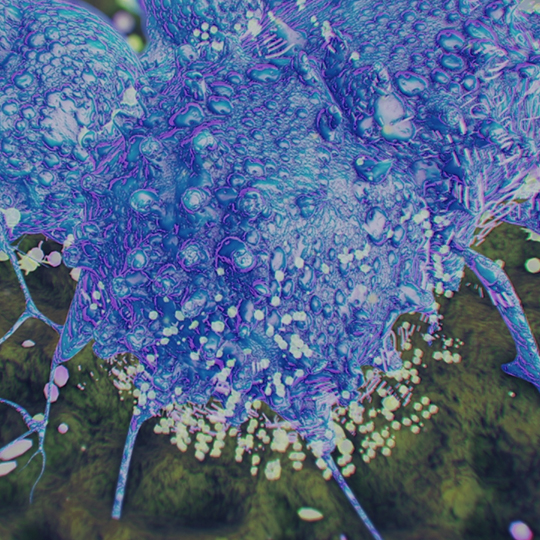 Mapping Molecular Architecture with AI and Cryo-ET | Market Insights ...