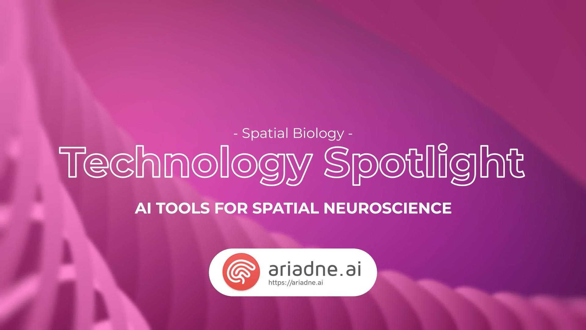 SPATIAL: A Powerful Omics Software Applied to Neuroscience | Technology Spotlights | Precision ...