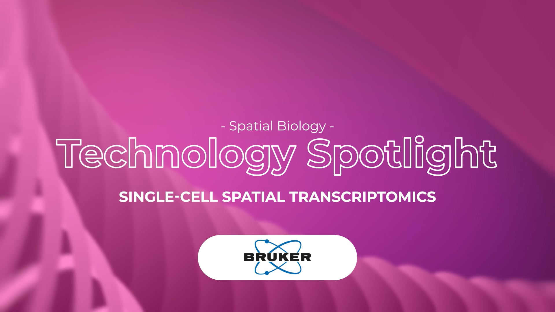 Accelerating Data To Insight With High-Fidelity Single-Cell Spatial Transcriptomics | Technology ...