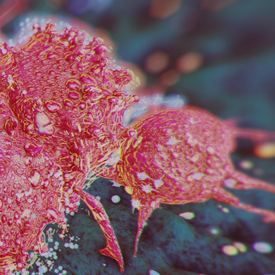 Spatial Omics Technologies In A Cancer Research Facility | Market ...